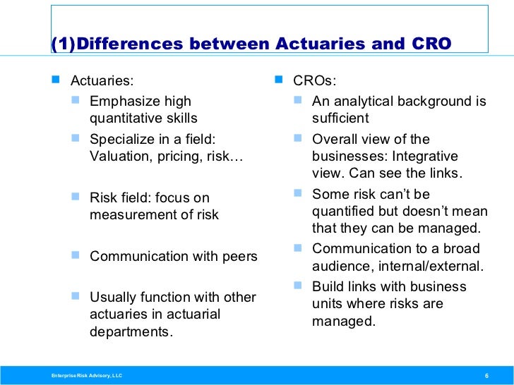 Role of a Chief Risk Officer