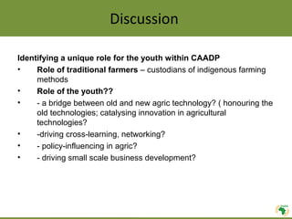 Youth Strategy and Group Work presentation | PPT