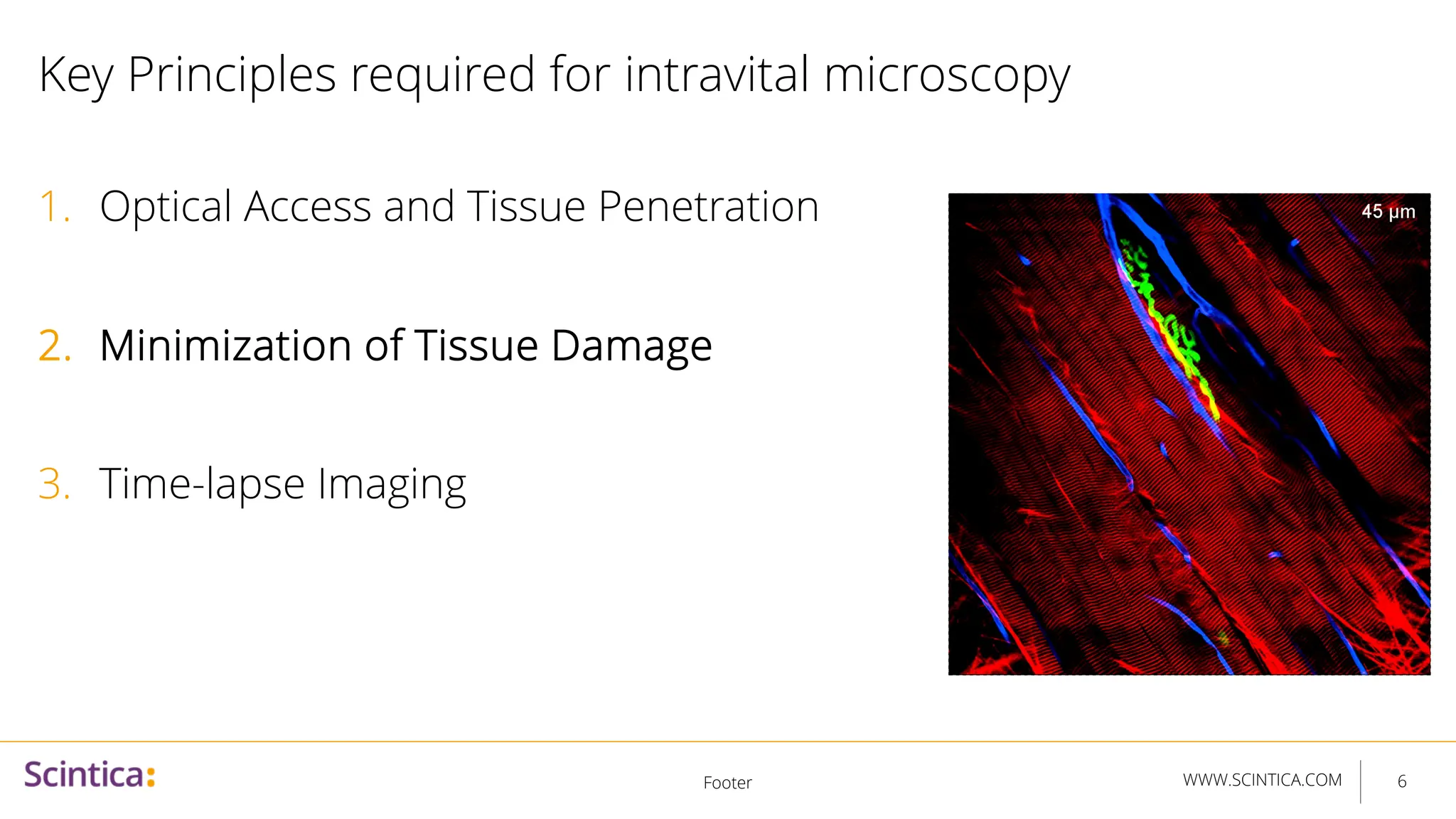 (May 29th, 2024) Advancements in Intravital Microscopy- Insights for ...
