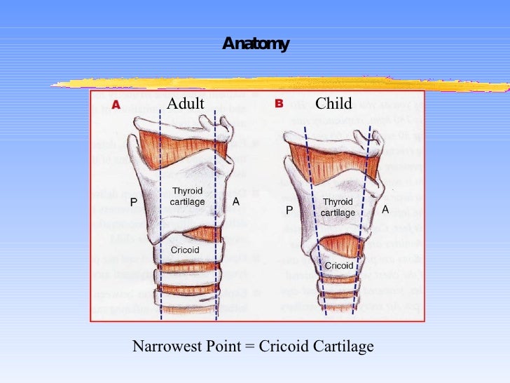 Pediatric Airway, Respiratory Distress & Failure, & Hypoperfu…