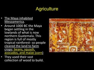 Maya Civilization | PPTX