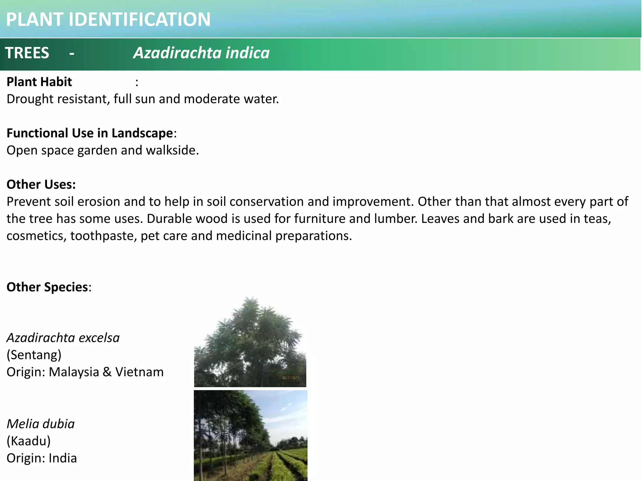 100 Plus Plants Identification in Malaysia | PPTX