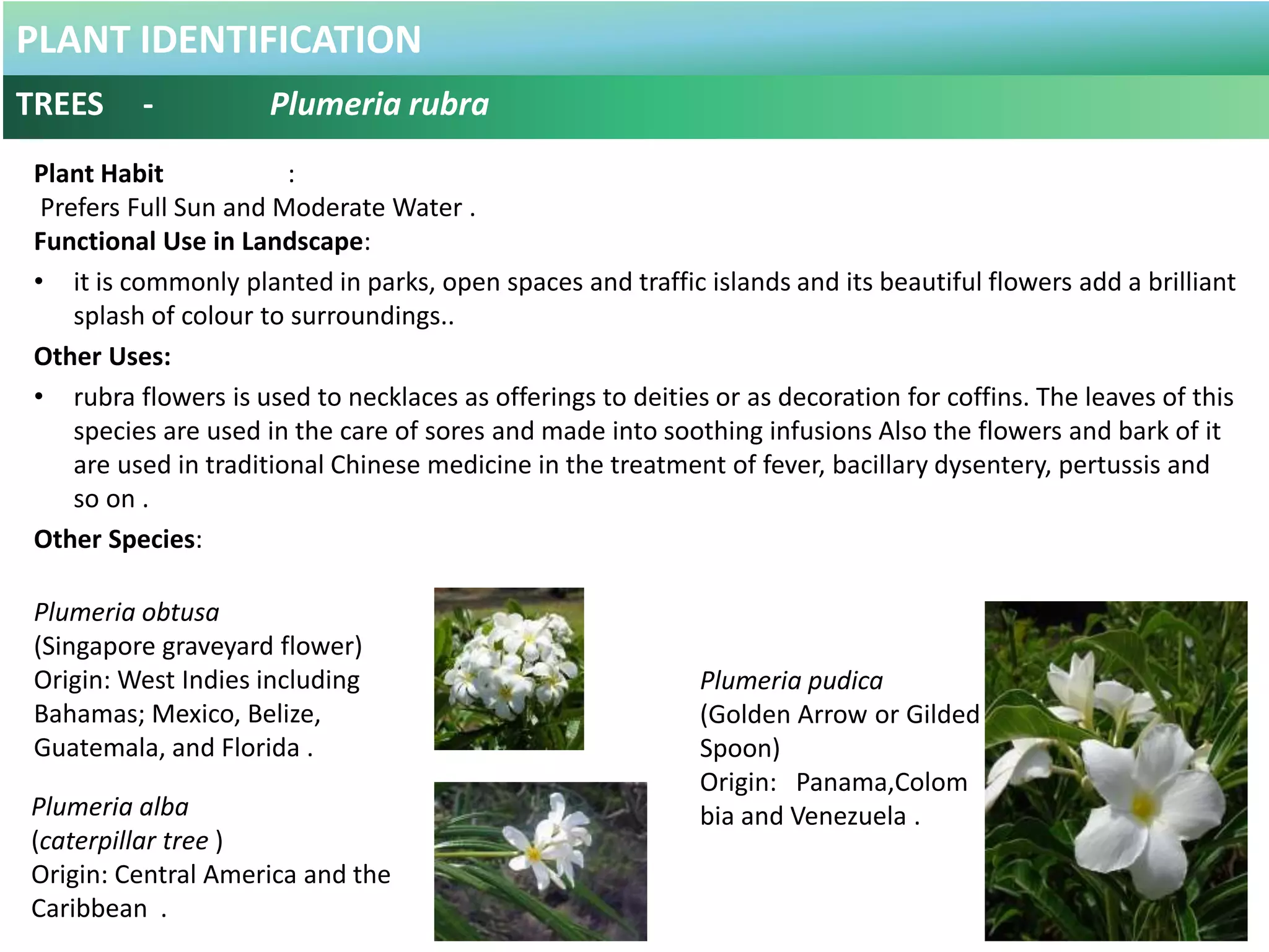 100 Plus Plants Identification in Malaysia | PPTX