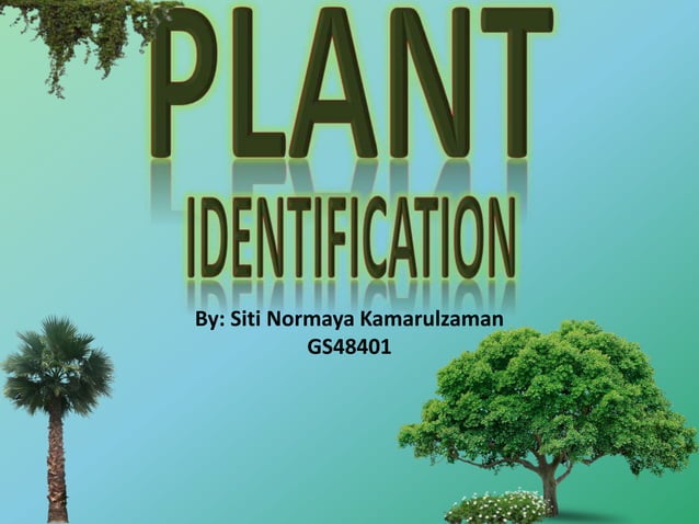 100 Plus Plants Identification in Malaysia | PPTX | Gardening | Home & Garden