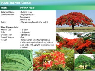 100 Plus Plants Identification in Malaysia | PPTX