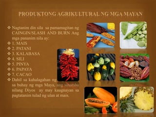 Mayacivilization 120730121511-phpapp01 | PPTX