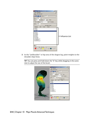 Mayamuscleadvancedtechniques | PDF