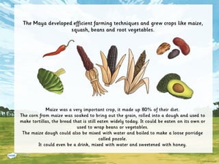 Mayan-Civilization-Lesson.pptx