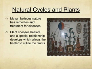 Mayan civilization healing and medicine | PPTX