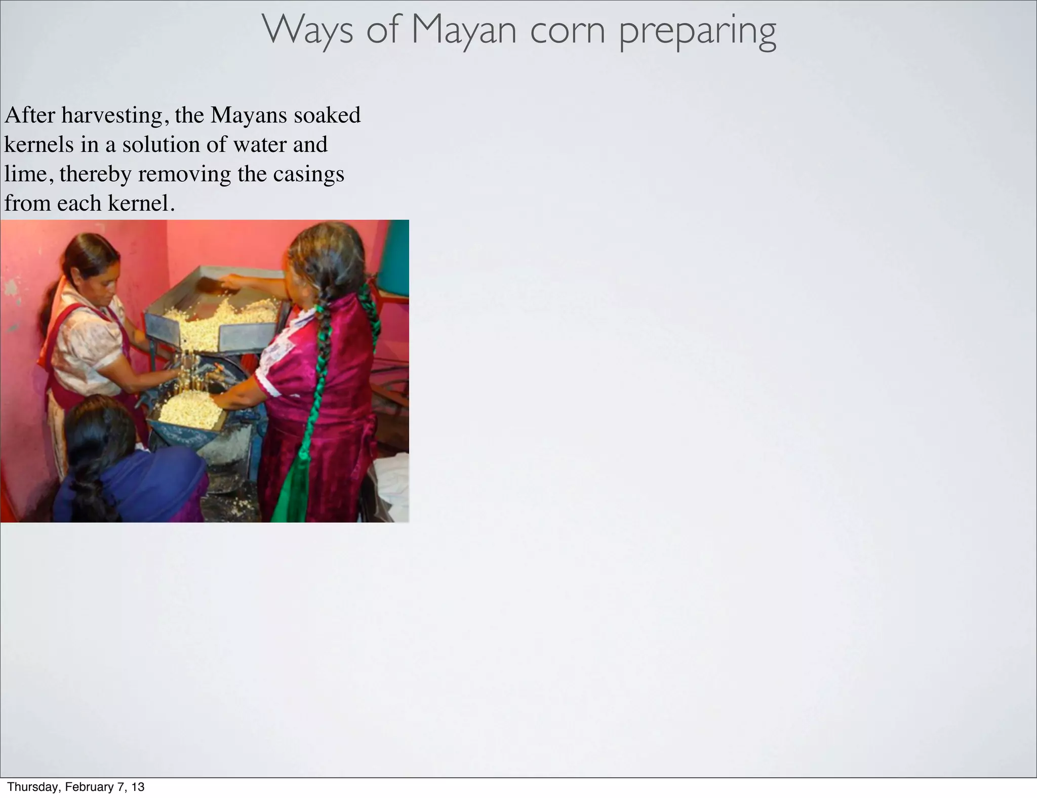 Mayan corn farming | PDF