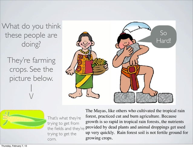 Mayan corn farming | PPT