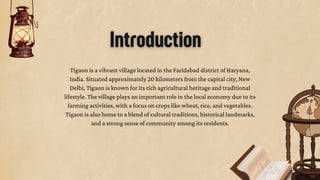 Presentation on a tigaon faridabad village | PDF