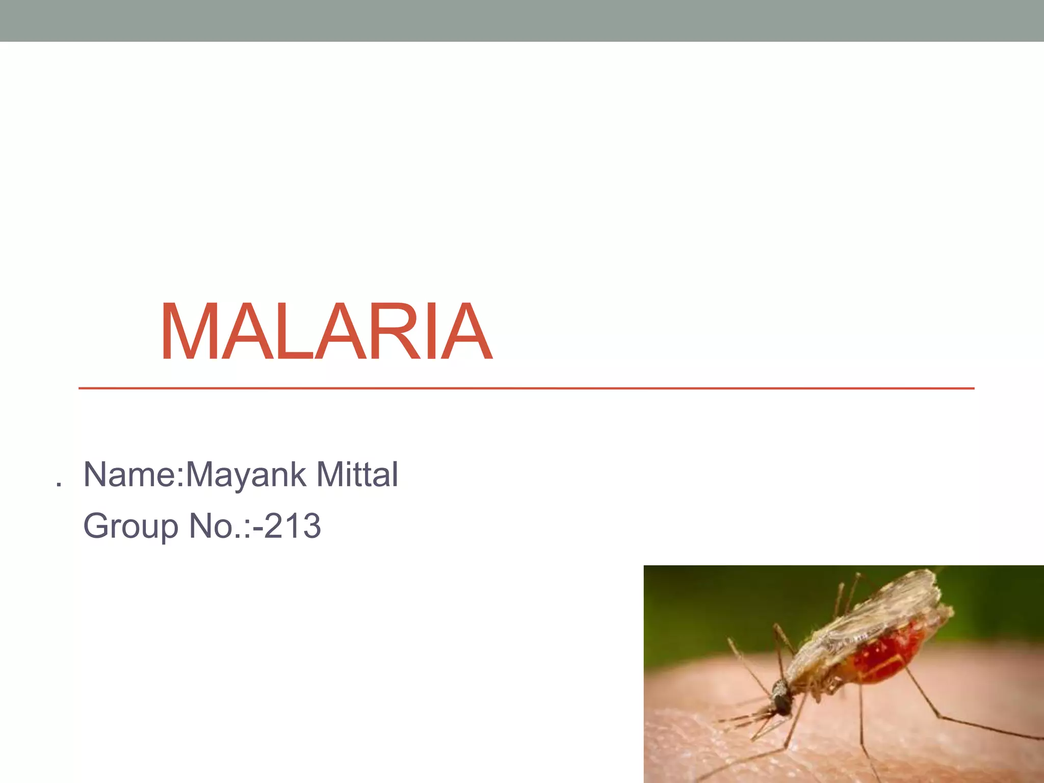 Mayank Mittal.pptx