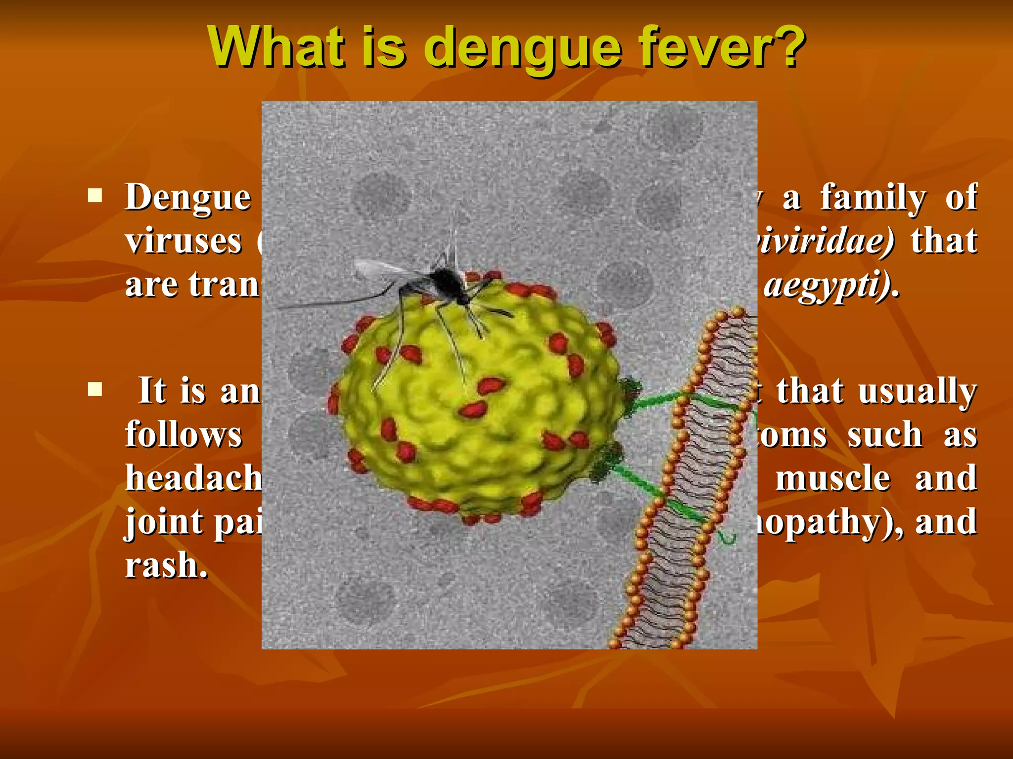 dengue | PPT