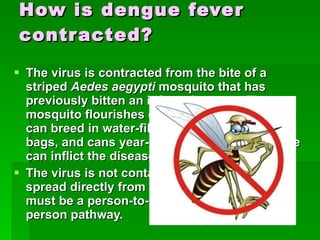 dengue | PPT