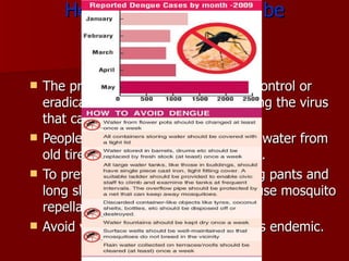 dengue | PPT