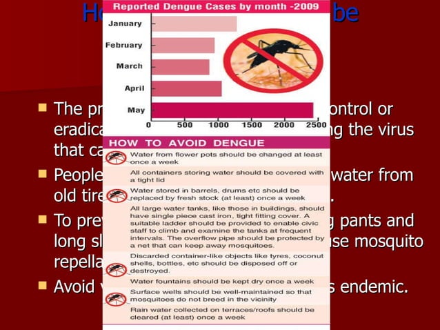 dengue | PPT | Infectious Diseases | Diseases and Conditions