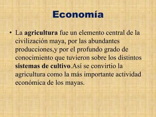 Economia Maya