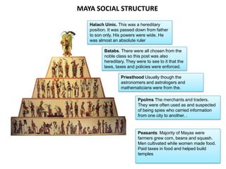 Inca Social Structure Pyramid