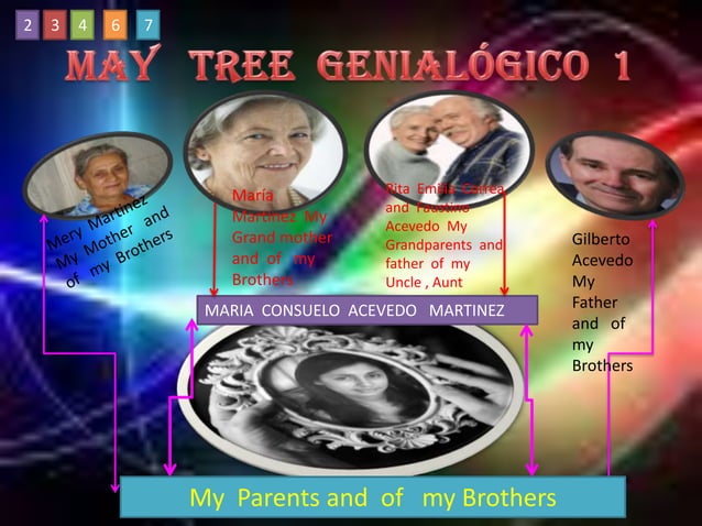 May Family Tree 1 | PPT