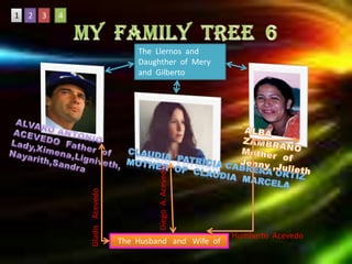 May Family Tree 1 | PPT