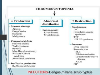 May Hegglin Syndrome