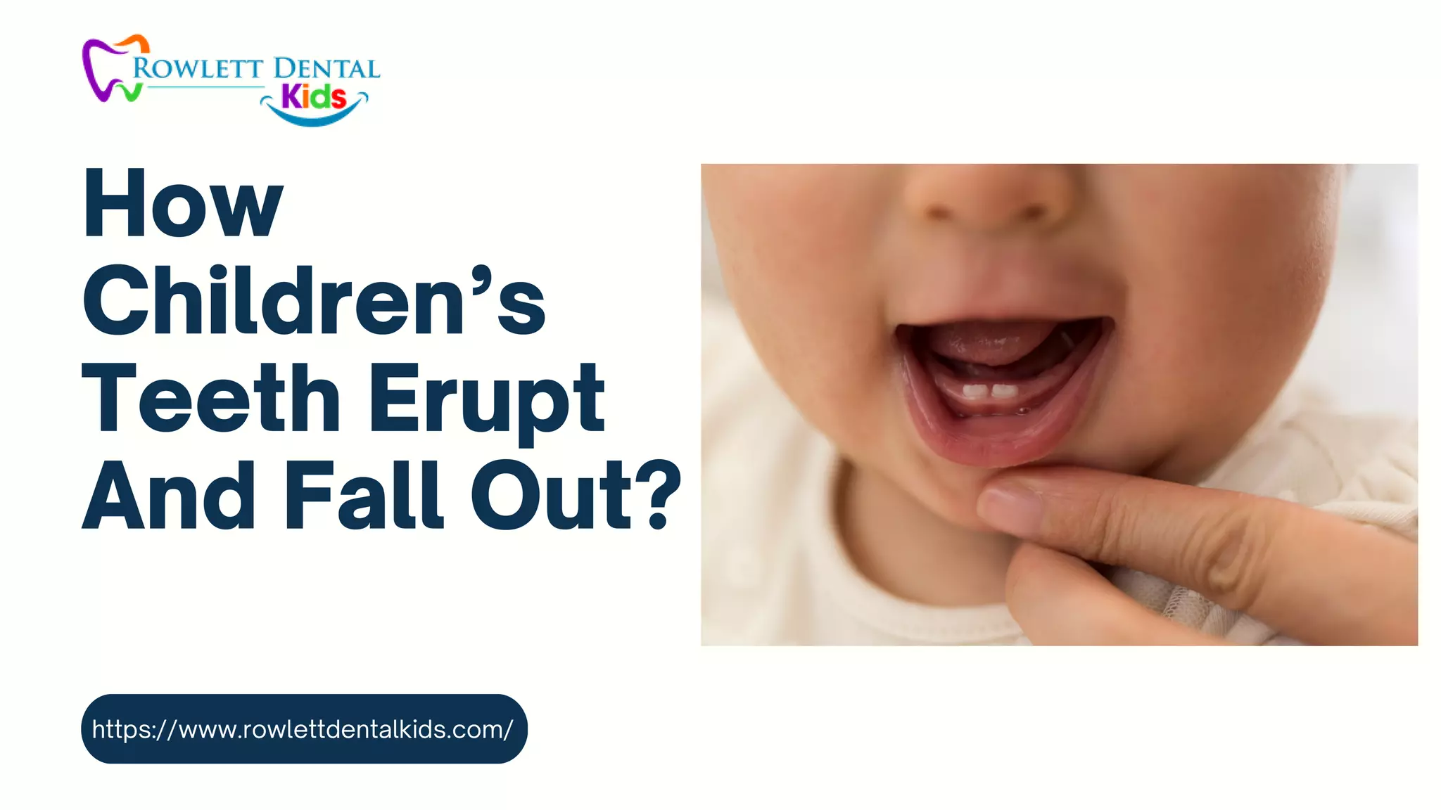 How Children’s Teeth Erupt And Fall Out.pdf