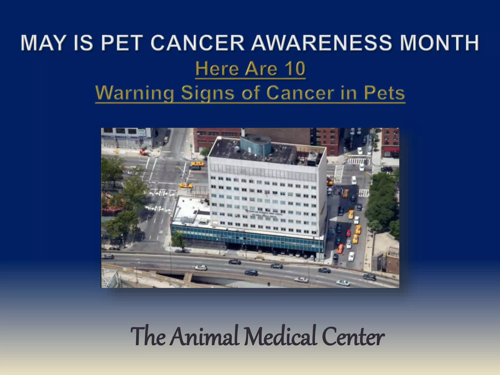 May is Pet Cancer Awareness Month - AMCNY | PPT