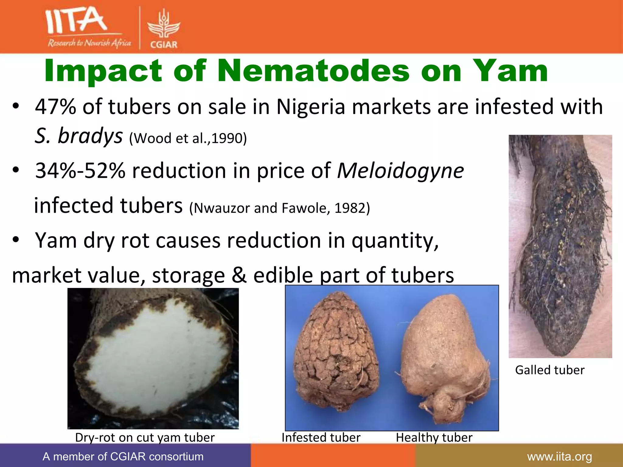 Management of meloidogyne incognita in yam-based cropping systems with ...