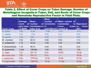 Management of meloidogyne incognita in yam-based cropping systems with ...
