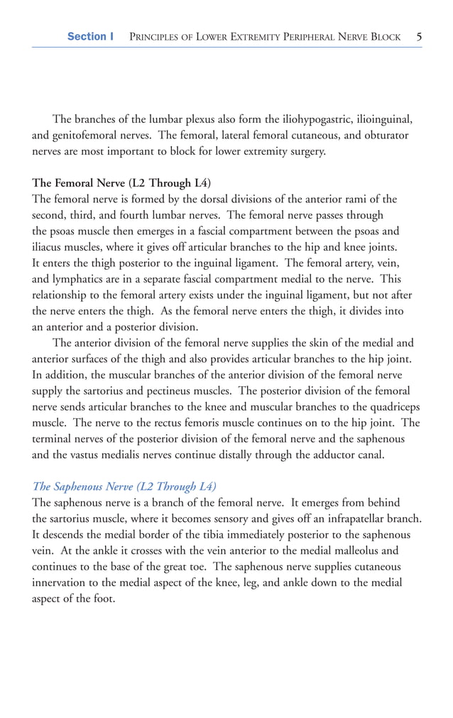 Mayo clinic analgesic pathway peripheral nerve blockade | PDF