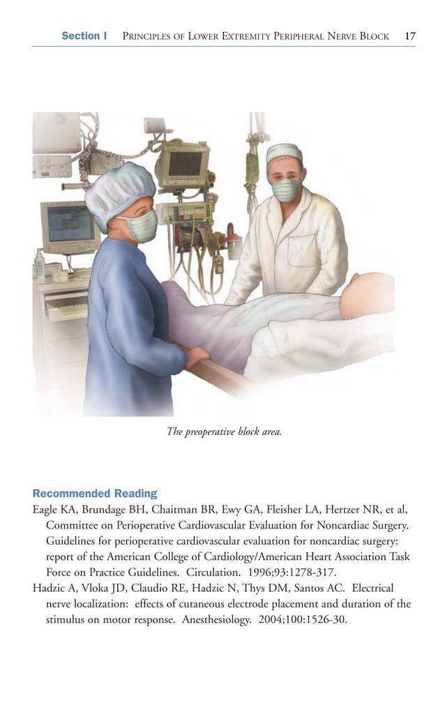 Mayo clinic analgesic pathway peripheral nerve blockade | PDF
