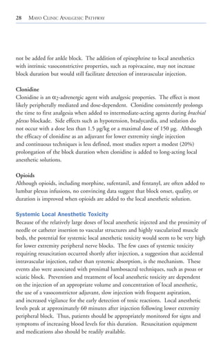 Mayo clinic analgesic pathway peripheral nerve blockade | PDF