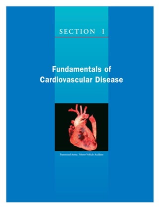 Mayo clinic cardiology | PDF