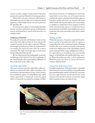 Mayo clinic cardiology | PDF