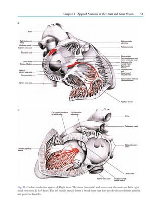 Mayo clinic cardiology | PDF