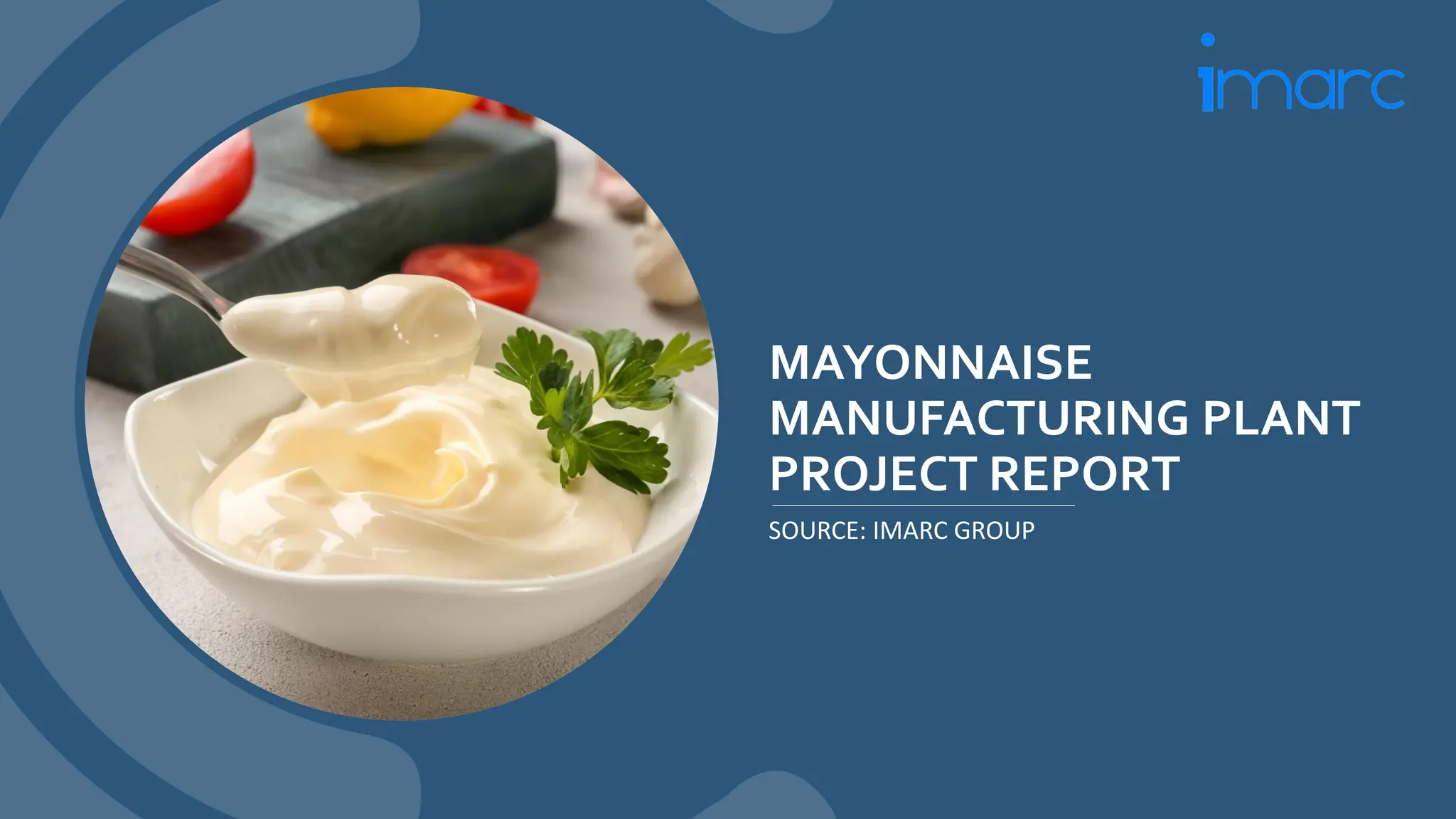 Mayonnaise Manufacturing Plant Project Report 2024 Edition.pdf