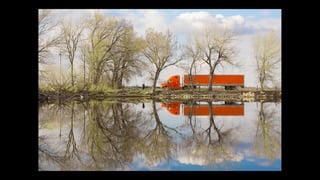 Deva_Mayorga Malone_Portfolio | PDF