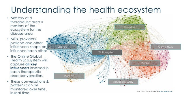 What Is A Health Ecosystem