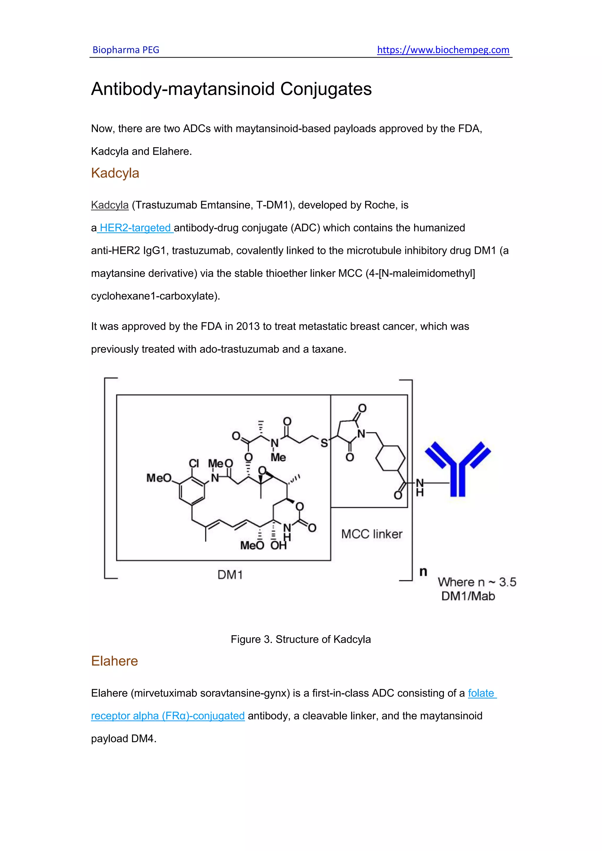 Maytansinoids as Payloads of ADCs DM1, DM4.pdf
