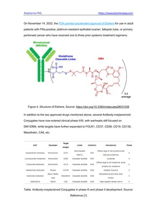 Maytansinoids as Payloads of ADCs DM1, DM4.pdf