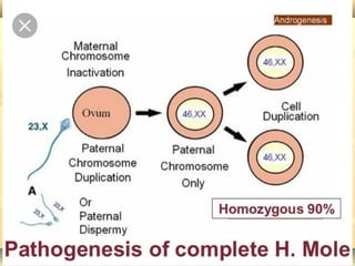 Pathophysiology Of H Mole Pregnancy