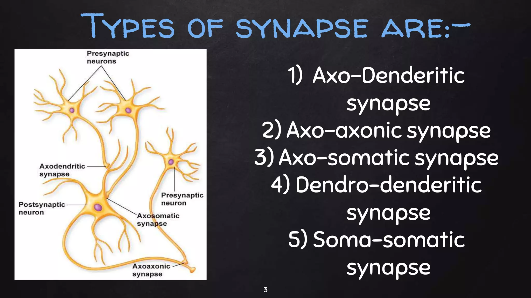 Synapses (Chemical synapses) By Mayur Anant Dakhore | PPTX