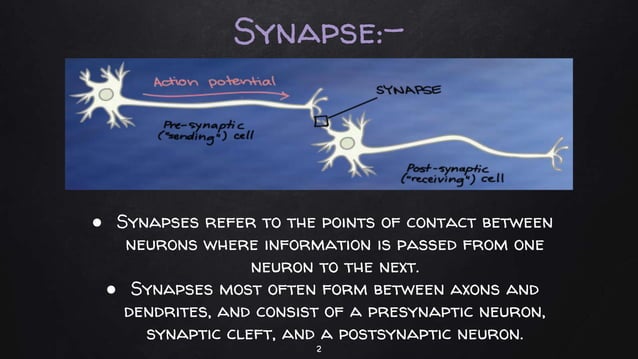 Synapses (Chemical synapses) By Mayur Anant Dakhore | PPTX