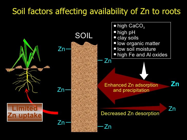 Global Vision on Zinc