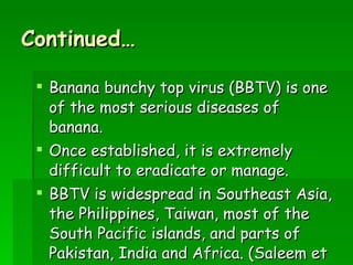 (Mazhar)isolation & control of banana bunchy top virus | PPT