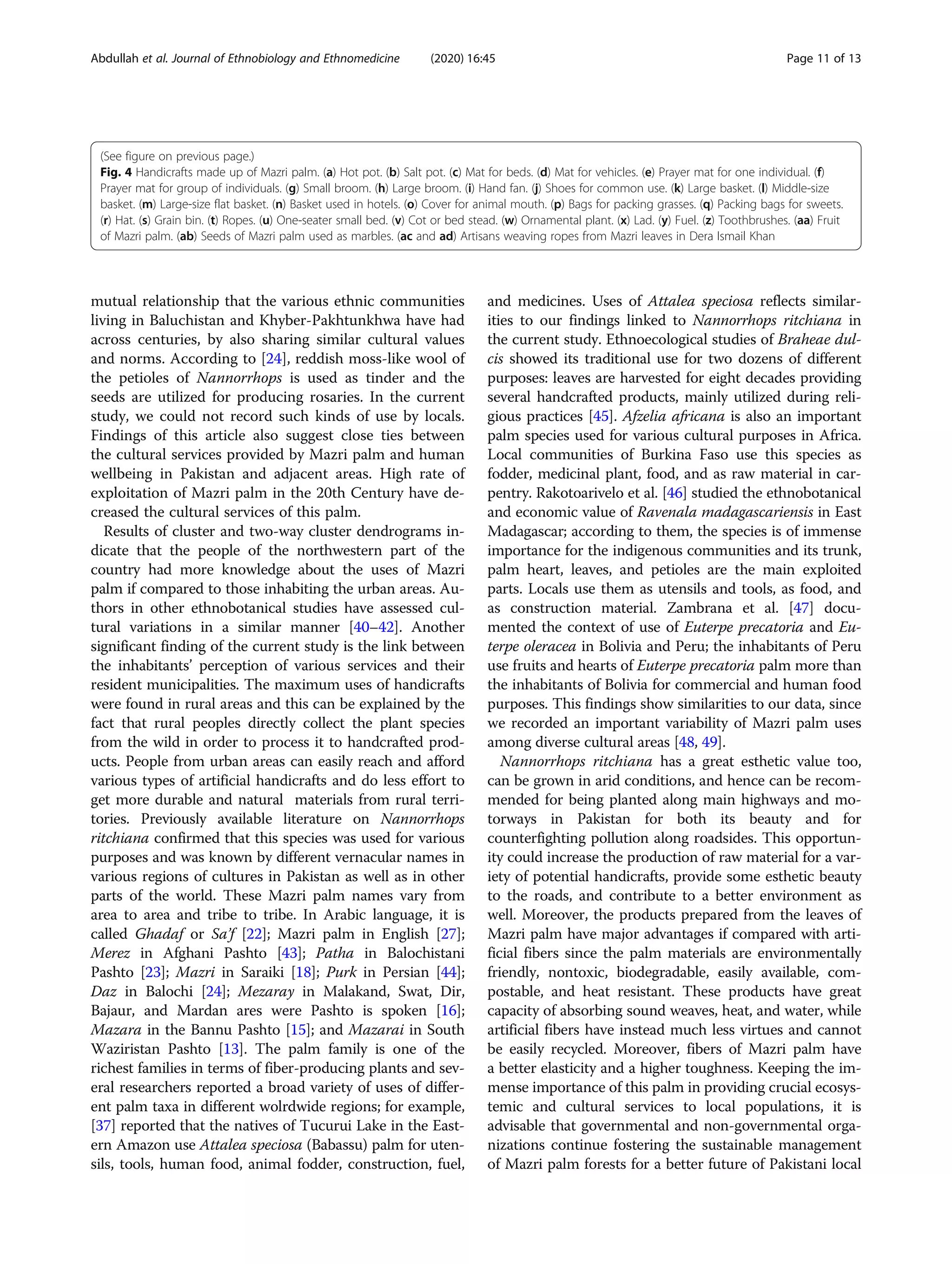 Mazri (nannorrhops ritchiana (griff) aitch.) a remarkable source of manufacturing traditional ...