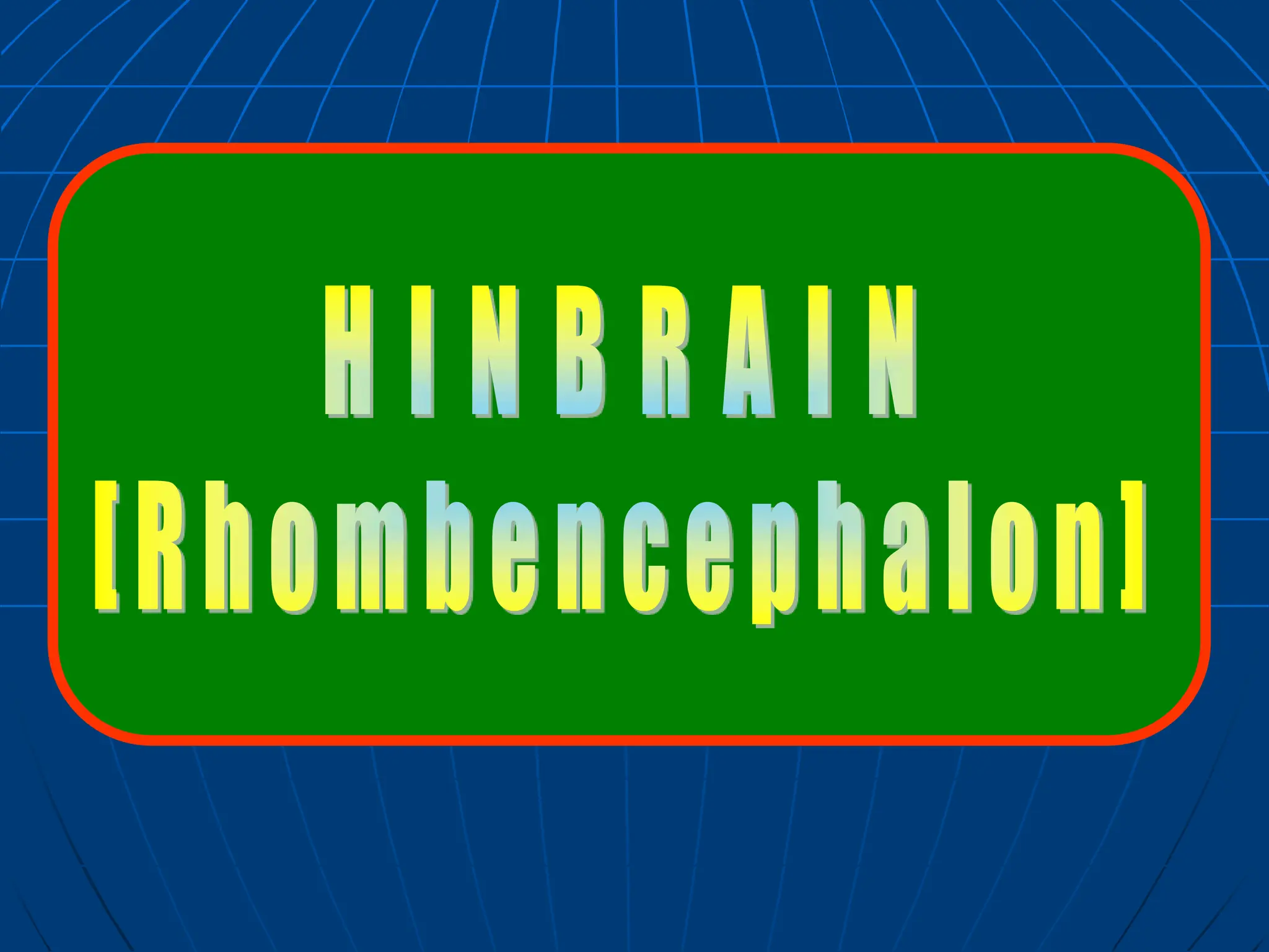 Anatomy of hind brain (mid brain,pons & medulla | PPT