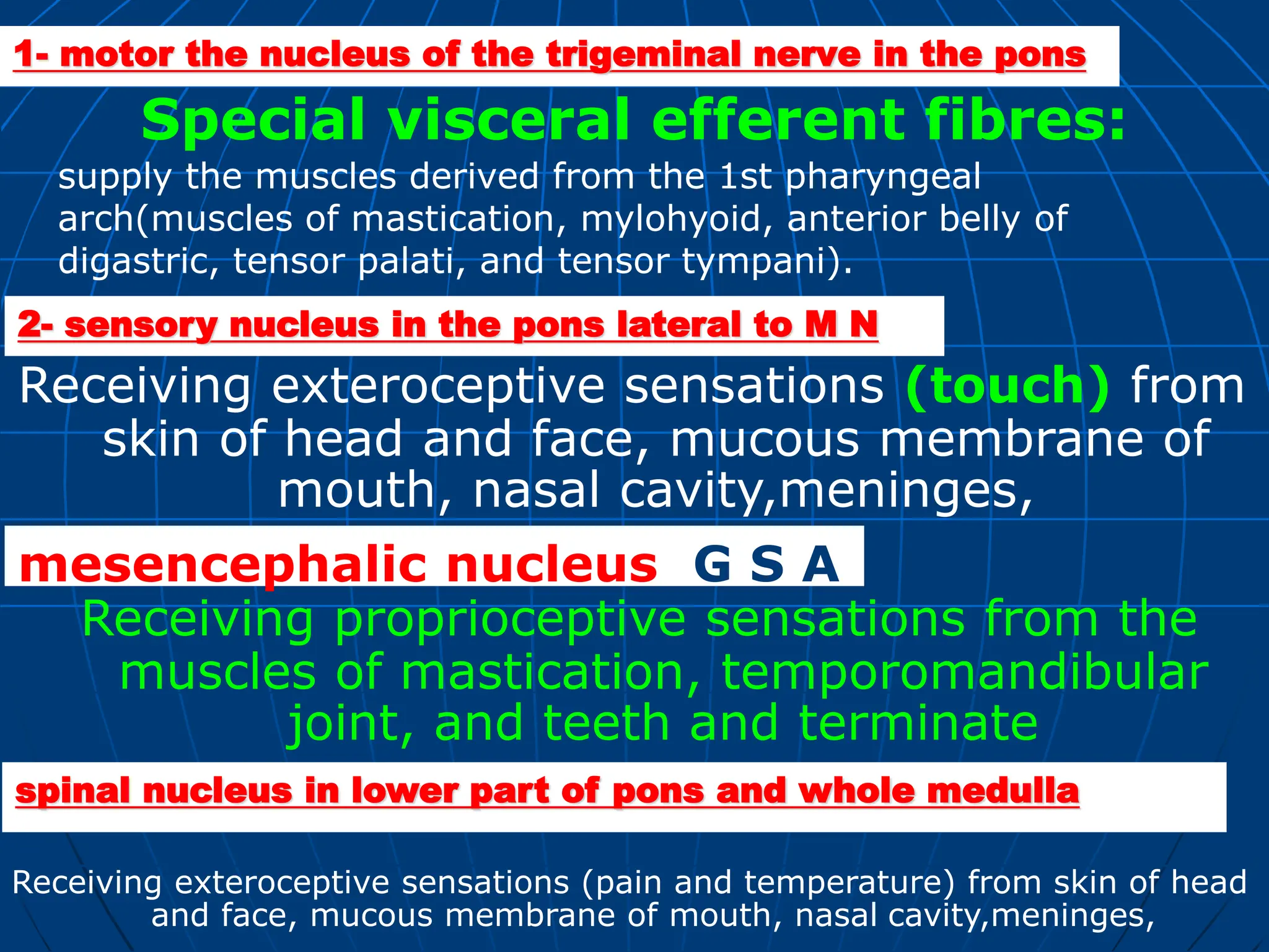 Anatomy of hind brain (mid brain,pons & medulla | PPT