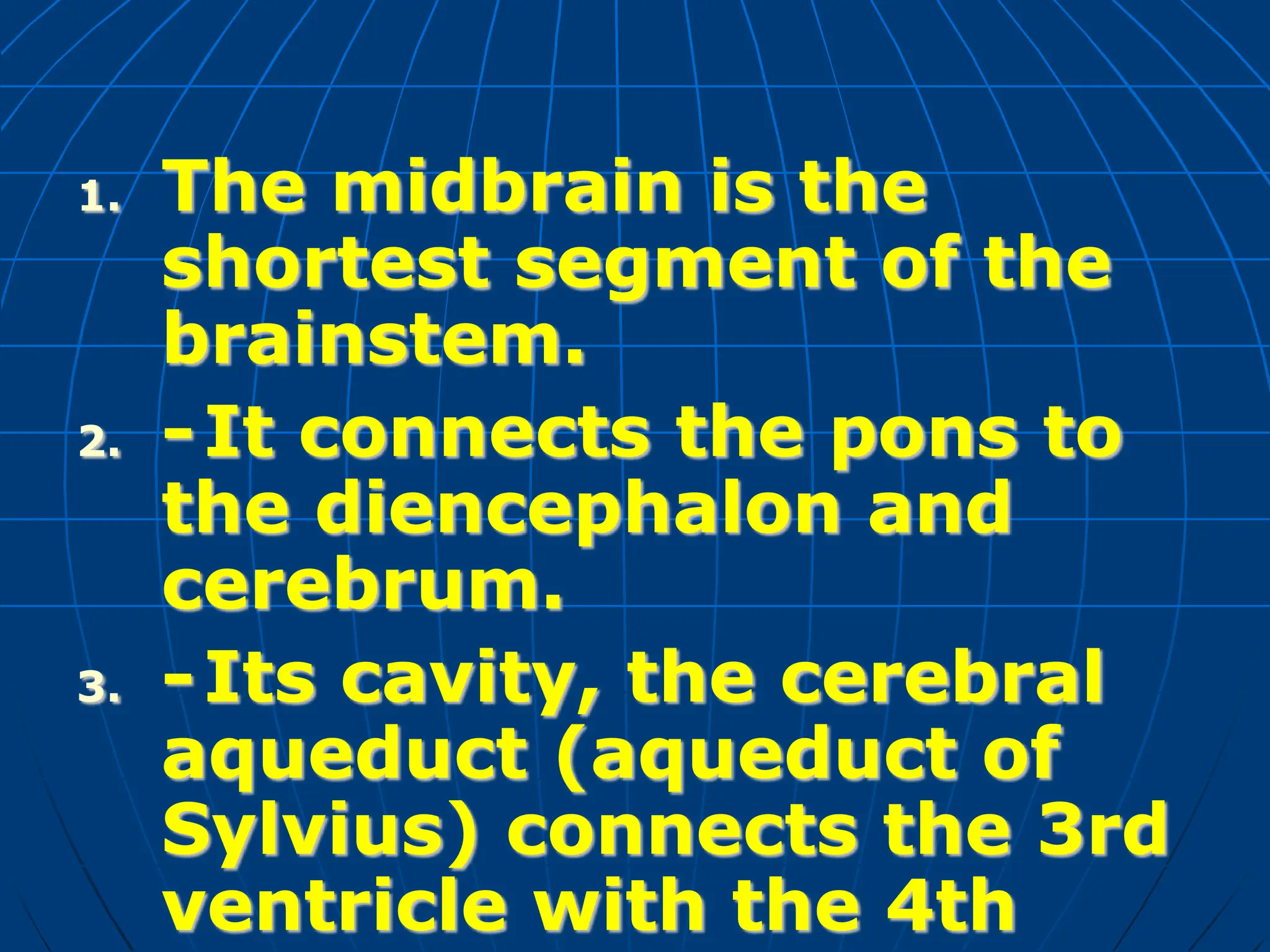 Anatomy of hind brain (mid brain,pons & medulla | PPT